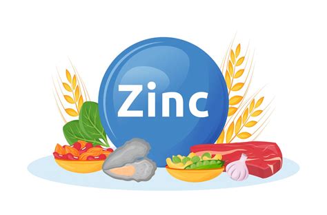 Zinc Benefits For The Body Vitazone Blog