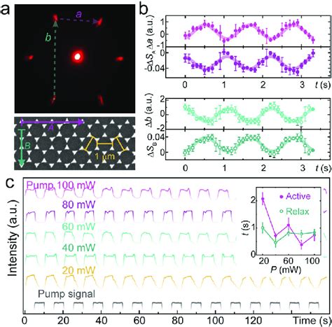Dynamic Response Of The Diffraction And Transmission Under Control Download Scientific Diagram