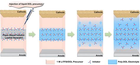 Schematic Diagram Of The Directional Formation Of Poly‐dol Electrolyte Download Scientific