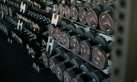 How To Do Forearm Curls The Manual