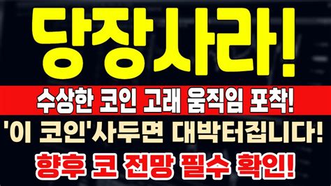 코인추천 대박 종목은 어디 알트코인 랠리 예상 코인추천 알트코인추천 급등코인추천 코인분석 코인전망 비트코인