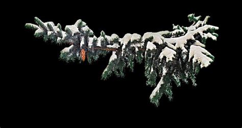 Создать мем футаж еловые ветки с инеем хромакей еловая ветка еловые веточки Картинки