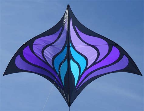 Ray Classic Large Robert Brasington Kites
