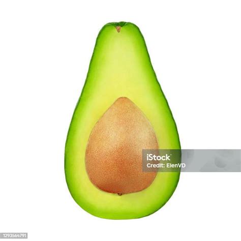 아보카도는 클리핑 경로와 흰색 배경에 고립 된 씨앗으로 중간을 잘라 전체 심도 0명에 대한 스톡 사진 및 기타 이미지 0명 가득 찬 갈색 Istock