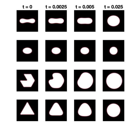 Shape Evolution Of Other Shrinkage Examples With Different Initial