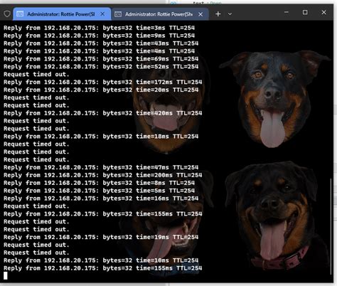 What Are Some Reasons Why An Esp Would Get Intermittent Wifi
