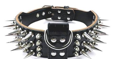 개목걸이에 가시가 달린 이유