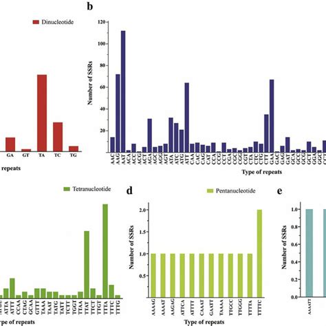 The Distribution Of Polymorphic Nucleotide Simple Sequence Repeats