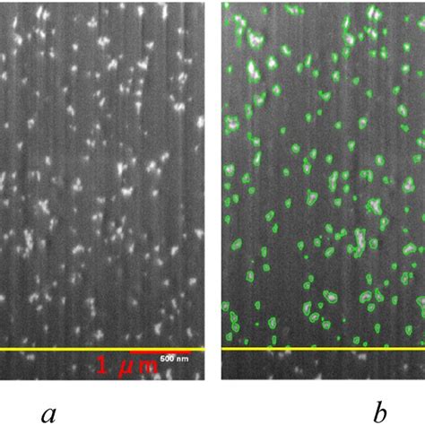 Particle Size Distribution In TiO2 Epoxy Nanocomposite A Density Download Scientific Diagram