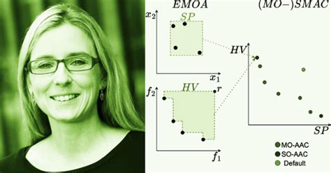 Joint Lectures On Evolutionary Algorithms June 2024 Leiden University