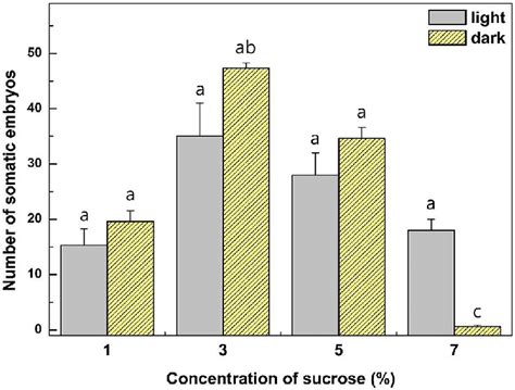 Effects Of Sucrose Concentrations And Light Requirement On Somatic Download Scientific Diagram