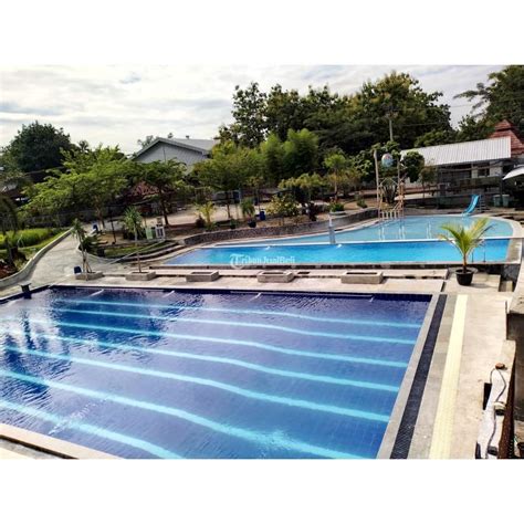 Terbaru Outing Class Membuat Jamu Di Solo Tribun Jualbeli