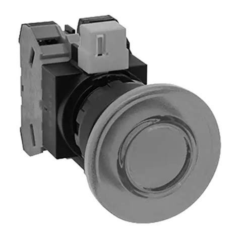 Buy IDEC HW Series Illuminated Push Button Switch Φ22 mm HW1L M411Q4S Online in India at Best