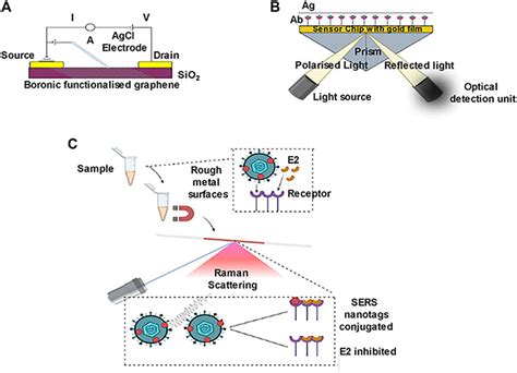 Frontiers New Age Detection Of Viruses The Nano Biosensors