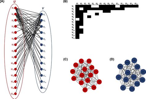 Bipartite Graphs In Systems Biology And Medicine A Survey Of Methods And Applications Pmc