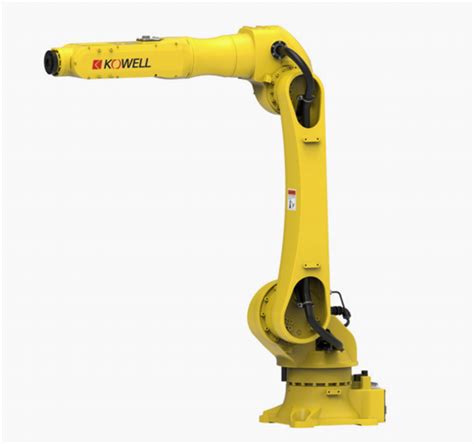 Automated Stacker For Palletizing Applications Fully Automatic Robotics