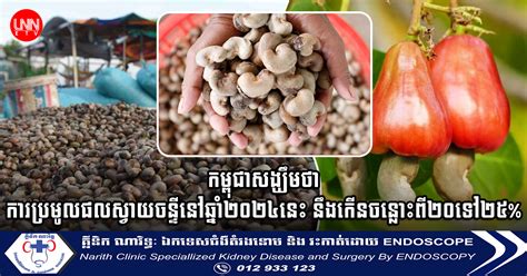 ការនាំចេញអង្កររបស់វៀតណាម រយះពេល៥ខែដំបូង សម្រេញបាន២ពាន់លានដុល្លារ
