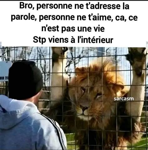 Scholarship 🚨 Phd Opportunity Fully Funded Spring 2026 🚨 Swarm