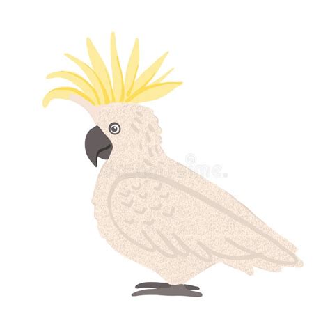 Cockatoo Stock Illustrations 24183 Cockatoo Stock Illustrations Vectors And Clipart Dreamstime