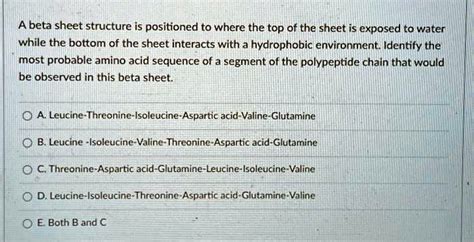 Solved A Beta Sheet Structure Is Positioned So That The Top Of The