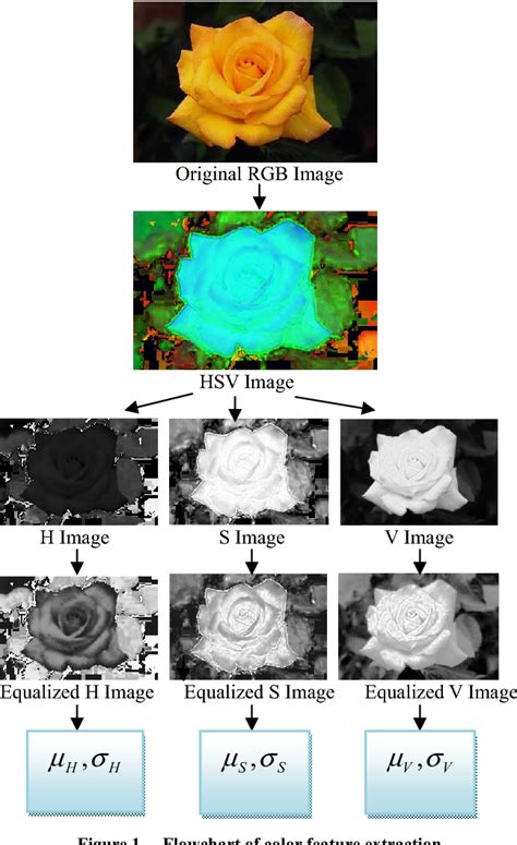 Figure 1 From Dynamic Hierarchical Semantic Network Based Image