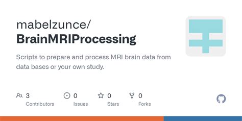GitHub Mabelzunce BrainMRIProcessing Scripts To Prepare And Process MRI Brain Data From Data