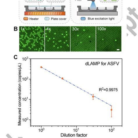 Digital Loop Mediated Isothermal Amplification Dlamp Detection Of The Download Scientific
