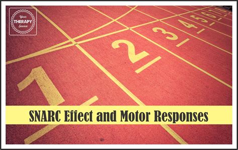 Snarc Effect And Motor Responses Your Therapy Source