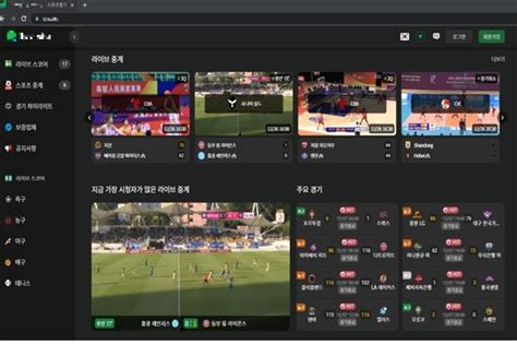 사이버 도박 유인 K 콘텐츠 불법 공유 사이트 운영자 2명 검거 나무뉴스