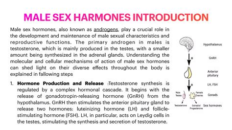 Sex Harmones Basic Pharmacologypdf Hormonal Disorders Endocrine