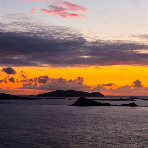 About People Place Taste — Dingle Chocolates