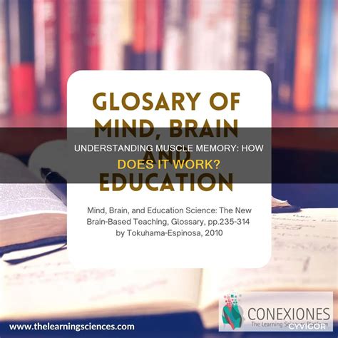 Understanding Muscle Memory How Does It Work Cyvigor