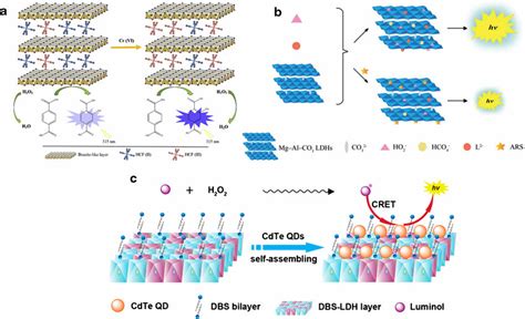Illustration Of Cl Sensors Involving Ldh Catalyzed Cl Reaction A