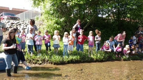 The Rivers And Trails Journal Axton Elementary Says Bye Bye Trout