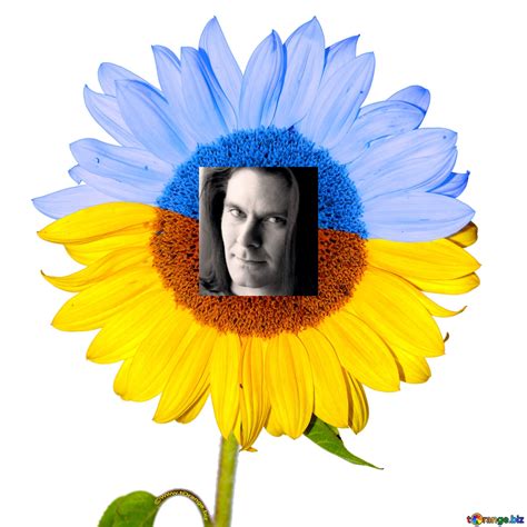 Marcus So In The Sixth Sense Even After He Died Bruce Willis