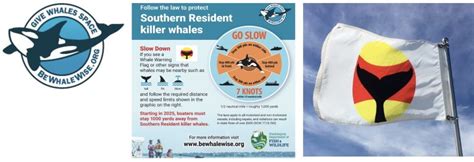 Puget Sound Institute