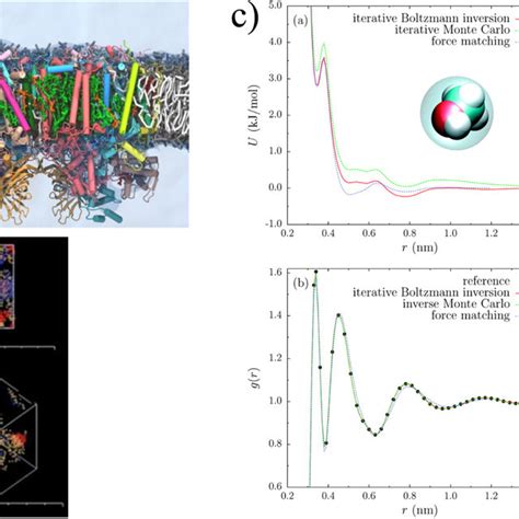 Coarse Grained Md Simulations Can Be Performed On A Wide Variety Of Download Scientific Diagram