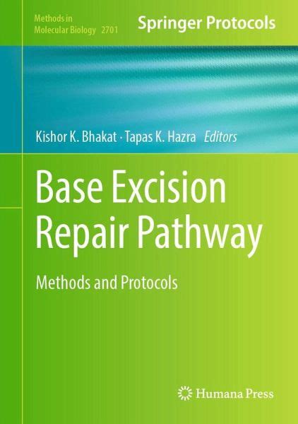 Base Excision Repair Pathway Fachbuch Bücher De