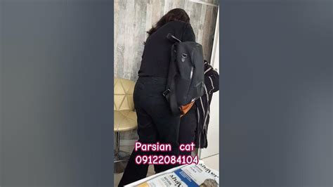 مادر مهربون و دختر خانومشون یه گربه اسکاتیش تاکسیدو از پتشاپ پارسیان