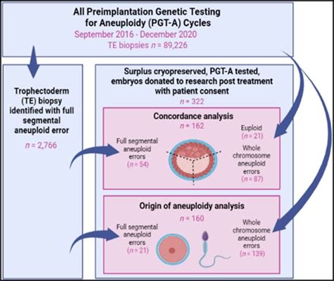 Segmental Aneuploid Hotspots Identified Across The Genome Concordant On