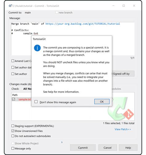 Resolve A Conflict Git Tutorial Nulab