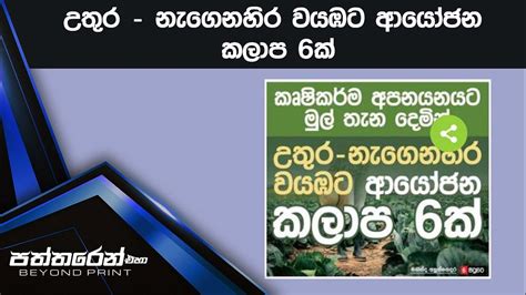 උතුර නැගෙනහිර වයඹට ආයෝජන කලාප 6ක් Youtube