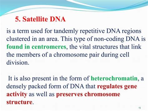 Coding Andnon Coding Dna Molecular Biologypdf Genetics Science