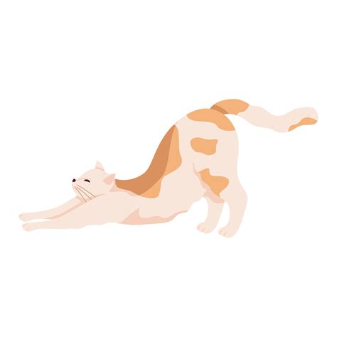 Cute And Funny Cat Stretching Itself Leaning On Front Paws 26754560