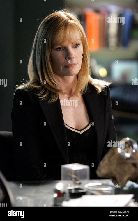 Marg Helgenberger Television Csi Crime Scene Investigation Csi