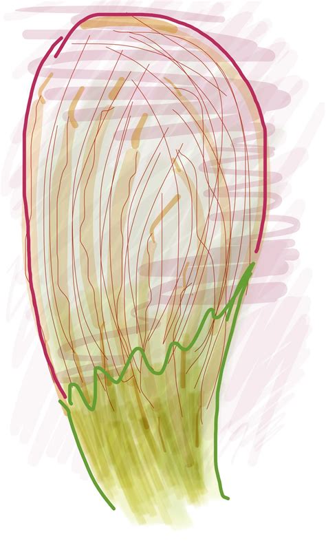 Perrins Textures Doodles Swab Tip Texture