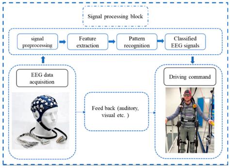 A Review Of Brain Activity And Eeg Based Braincomputer Interfaces For