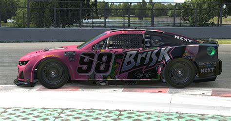 98 GOWEN Brisk Pink Concept By Martin Roberg Trading Paints