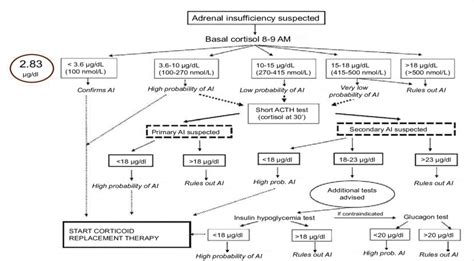 Diagnostic Algorithm Elaborated By De Miguel Novoa Et Al 10 Of Diagnostic Algorithm Elaborated By De Miguel Novoa Et Al 10 Of