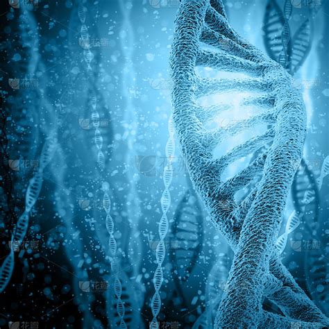 数字插图dna结构的颜色背景